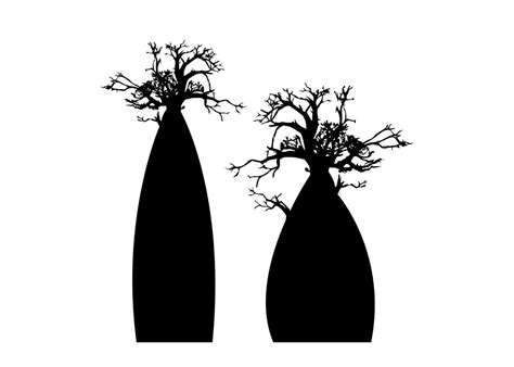 Boab Or Baobab Tree Set Vector Trees Silhouette Logo Concept Icon