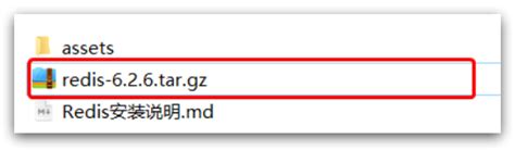 中间件系列 redis入门到实战 基础篇 redis server csdn博客
