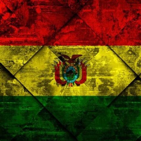 Cómo Registrar Chip Entel Viva Y Tigo 2025 Bolivia Consulta
