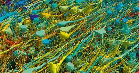 This Is The Most Detailed Map Of Human Brain Connections Ever Made No More Gap