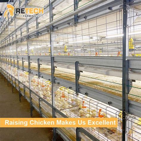 Automatic 4 Tiers Modern Design Poultry Farm H Type Chicken Broilers