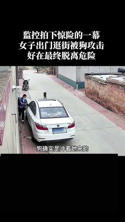 女子出门被狗追，吓的都丢了魂监控下的一幕 内容过于真实 监控下的日常 Youtube