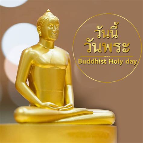 การด No 8193 วนพระ
