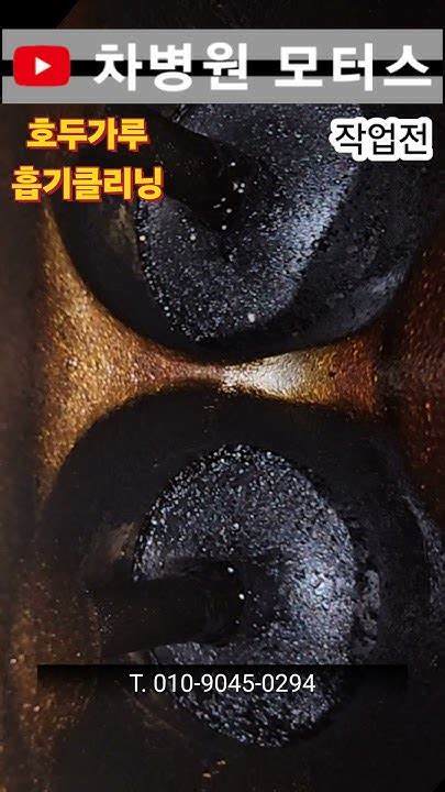 호두가루 흡기클리닝 Youtube