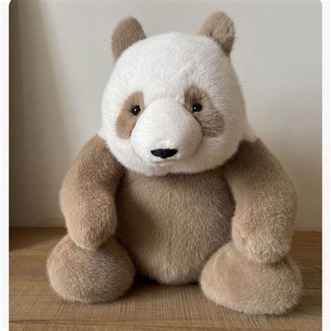 Meet Qizai The Uniquely Brown Giant Panda Of Qinling Exclusive Story