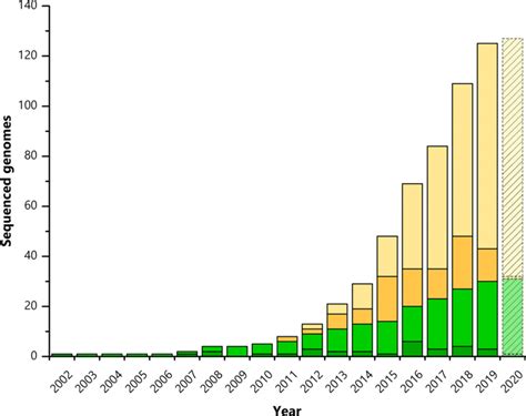 Typical Carbon Flux Distribution Throughout Central Carbon Metabolism
