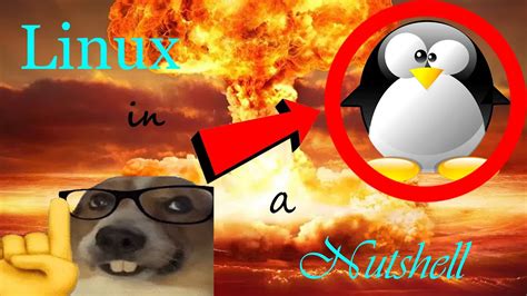 Linux In A Nutshell YouTube