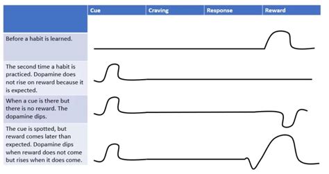 Dopamine Nation Summary Anna Lembke Aures Notes