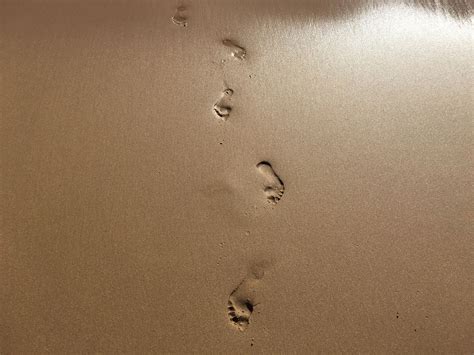 Humans Walk Weird Scientists May Finally Know Why Wired