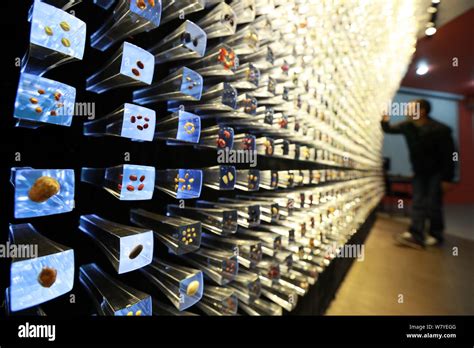 Institute Of Botany Hi Res Stock Photography And Images Alamy