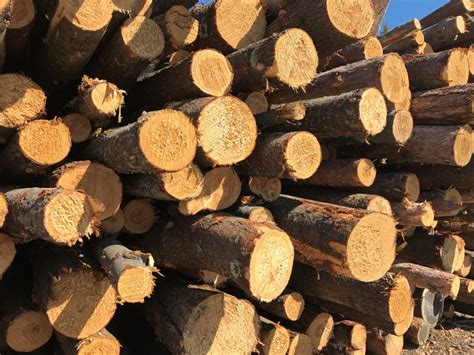 Biomass Roundwood Wilson Engineering Services Pc