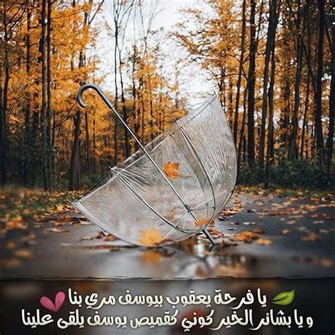 يافرحة بعقوب بيوسف مري بنا ويبشائر الخير كوني كقميص يوسف يلقى علينا