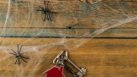 घर की दीवारों पर तेजी से जाले बन जाते हैं तो इन तरीकों से पाएं मकड़ी से छुटकारा Makdi Ke Jale