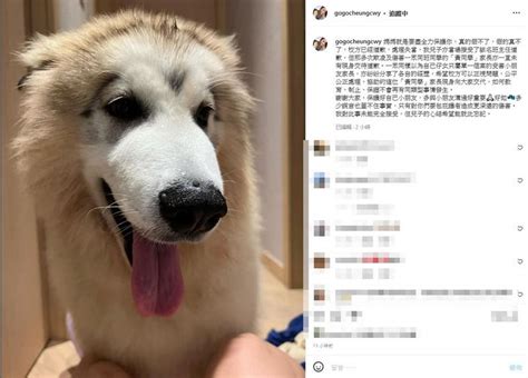 兒子遭校園暴力反被屈 張韋怡指班主任已道歉 望校方公平公正處理問題 1339 20220514 Showbiz 明報 Our