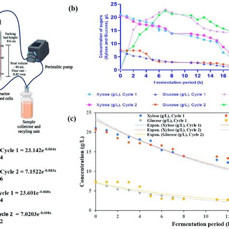 A Packed Bed Reactor Pbr For Immobilized Cell Based Fermentation