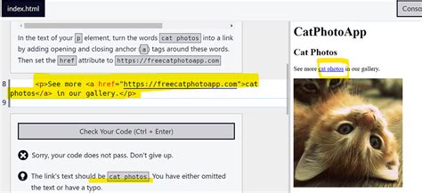 Learn Html By Building A Cat Photo App Step Html Css The