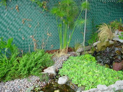 My So Called Pond Life Pond Edging And Landscaping Around Upper Pond