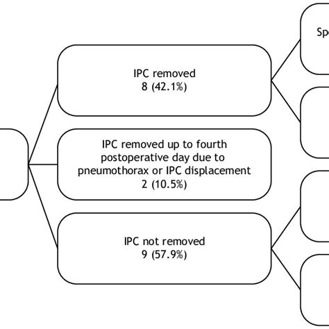 Flowchart Of Patient Outcomes N 19 Ipc Indwelling Pleural Catheter Download Scientific