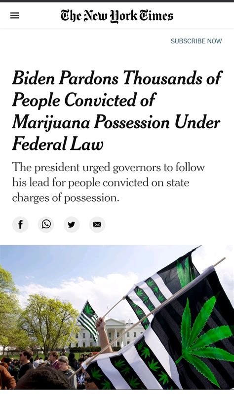 Cannabis Lfg Diana Eberlein