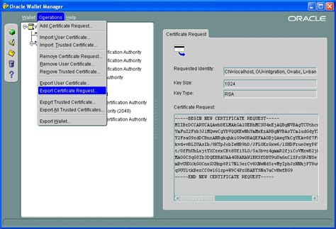 Learning Soa Using Oracle Wallet Manager To Request A Certificate And Validate From Oca