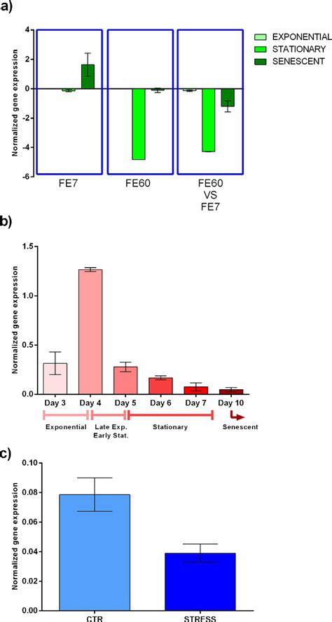 Gene Expression Analysis Of S Marinoi Ptgds And T Rotula Pgfs By