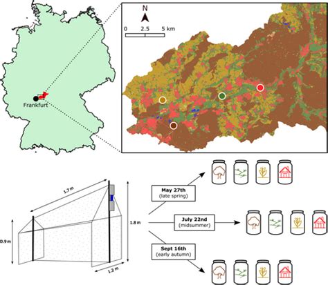 Dna Metabarcoding And Morphological Identification Reveal Similar