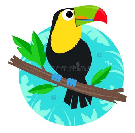 Clipart Del Tucano Illustrazione Vettoriale Illustrazione Di Uccello