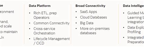 Bizinsight Consulting Blog Oci Data Integration Features