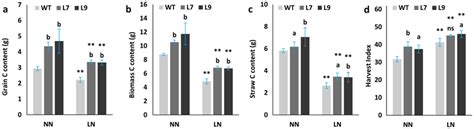 Nitrogen Use Efficiency Of Overexpression Gs Transgenic Lines Under Download Scientific Diagram