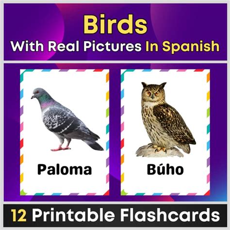 Birds Vocabulary In Spanish Fun And Educational With Real Pictures By