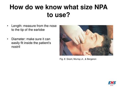 Ppt Airway Management Powerpoint Presentation Free Download Id4456837