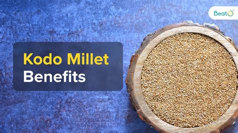 Kodo Millet Benefits Nutritional Values And Side Effects Diabetes Blog