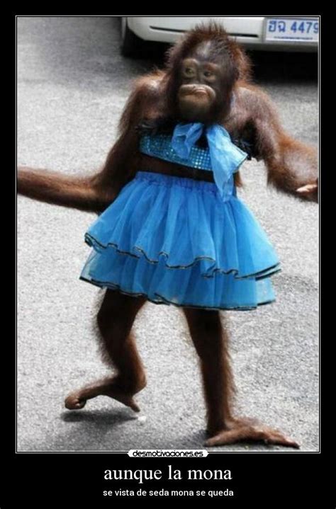 La Palabra Del Día Seda Answers