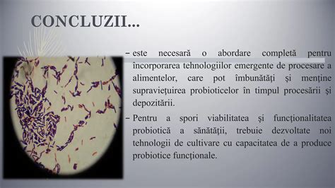 Probiotice Microbiology Probioticeleppt
