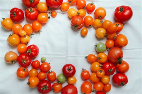 백색 섬유 배경에 서로 다른 색상의 신선한 유기농 토마토 추수 개념입니다 센터에 텍스트를 삽입 하기 위한 구성 프레임 오버 헤드