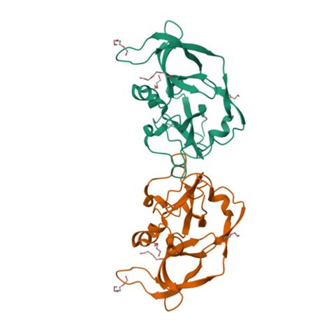 RCSB PDB 3RLC Crystal Structure Of The Read Through Domain From Bacteriophage Qbeta A1