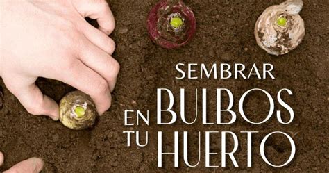 Como Preparar La Tierra Para Sembrar Facilisimo