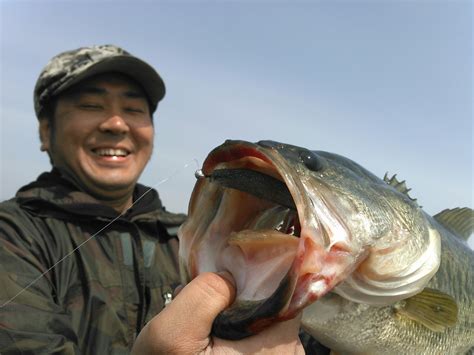 琵琶湖、ボトスト絶好調。50アップ2本ゲット 杉戸繁伸船長blog 琵琶湖バスフィッシングガイド日本海小浜釣り
