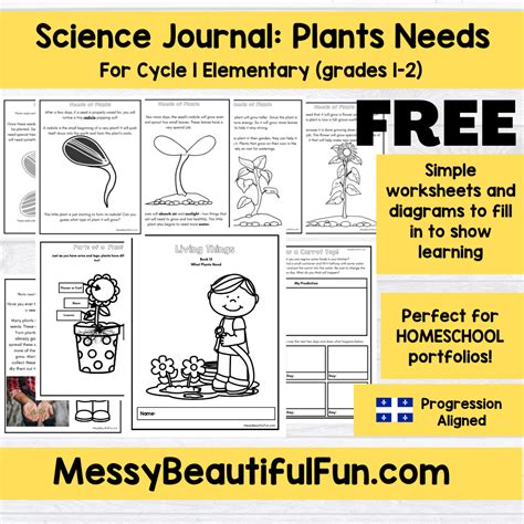 Messy Beautiful Fun Free Science Journal Plants Basic Needs