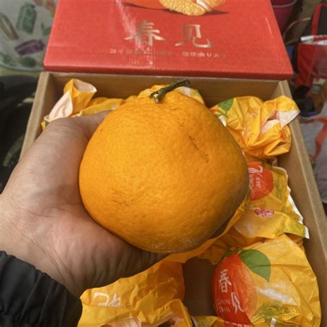 Jual Jeruk Dekopon Manis Super Fresh Jeruk Harumi Dekopon Box Kg Jakarta Barat HAPPY