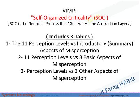Research Issue Human Brain Perceptual Control Theory Pct 11 Layers