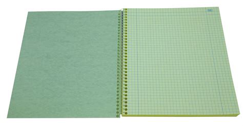 Roaring Spring Notebook Quadrille Wirebound 100 Sheets Pages