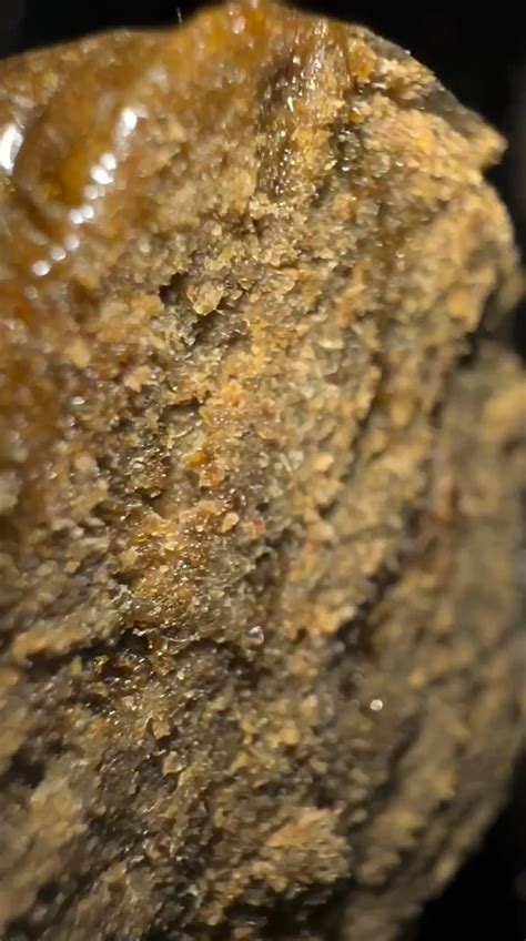 Frozen Sift Hash Rweed