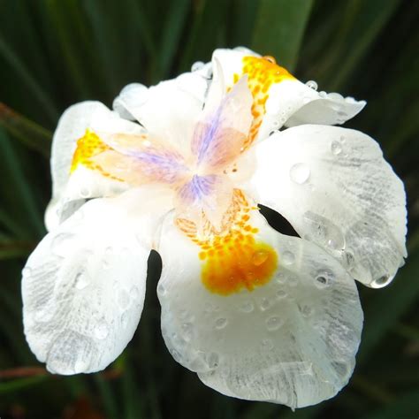 Edith Rodriguez Youtube