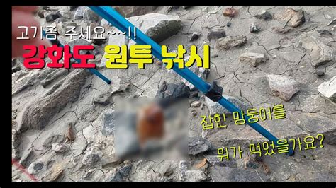 강화도 원투 망둥어 낚시 Youtube