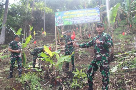 1 SST PASUKAN YONIF 143 TWEJ IKUT SERTA DALAM PENANAMAN POHON SERENTAK