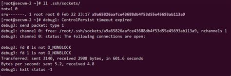 What Is Ssh Multiplexing And How To Use Securely Golinuxcloud