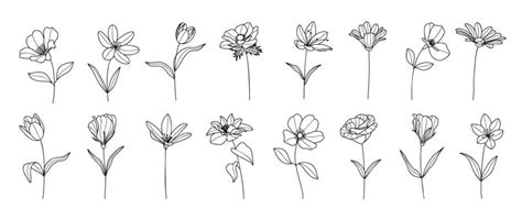 Leaf Line Vector Art Icons And Graphics For Free Download Leaf Line Vector Art Icons And Graphics For Free Download