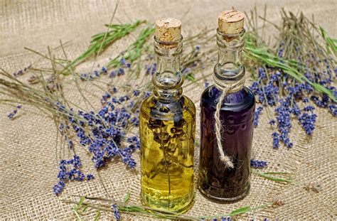 Estos Son Los Beneficios Que El Té De Lavanda Le Brinda A Tu Salud Te