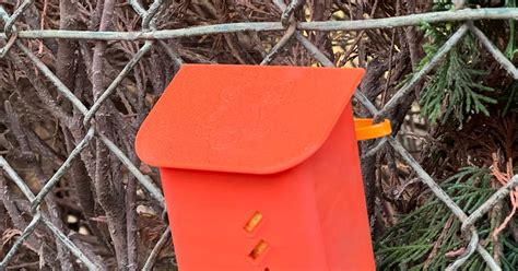 Boar Repellent Box By Tcpj Download Free Stl Model